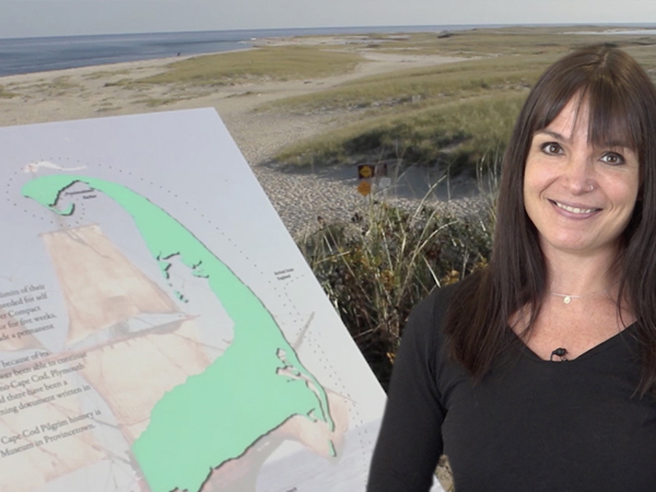 All About It | Cape Cod, Martha's Vineyard, Nantucket