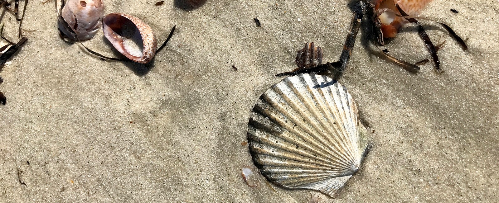 Cape Cod Travel Blog