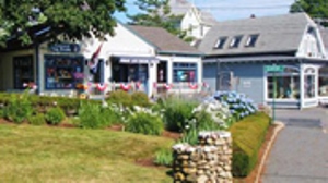 Best Seal Tours on Cape Cod